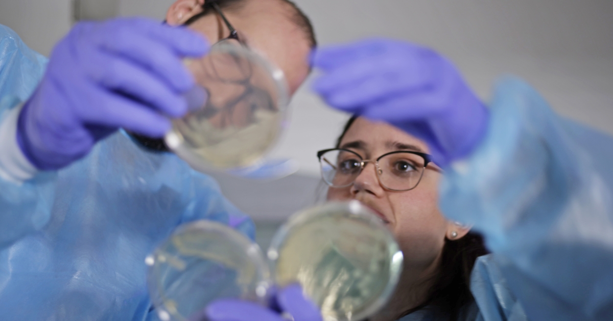 Forge Your Path | Exponent